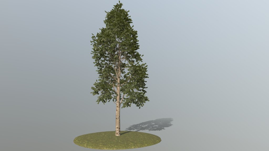 Nature - A 3D model collection by Studio Lab (@studiolab.dev) - Sketchfab