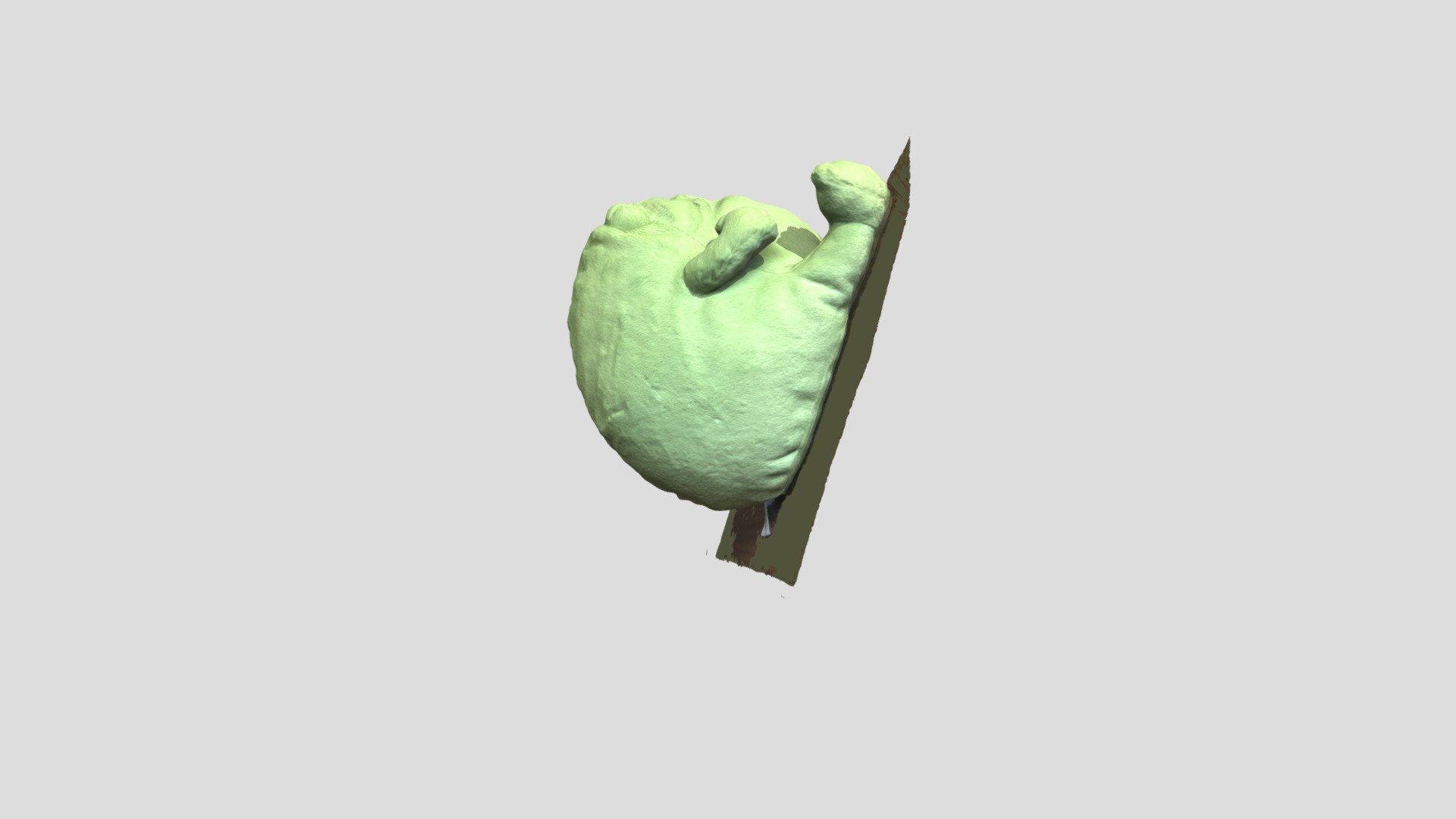 Frog Model - 3D model by anguy49 [06963fe] - Sketchfab