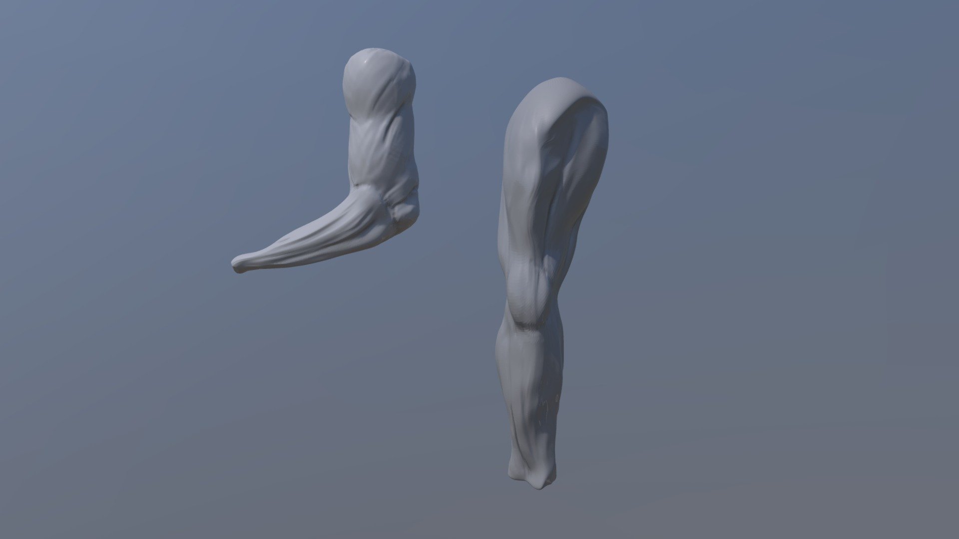 Limb practice sculpts - 3D model by Rebecca Gainer (@rebeccaG) [0696bf0 ...