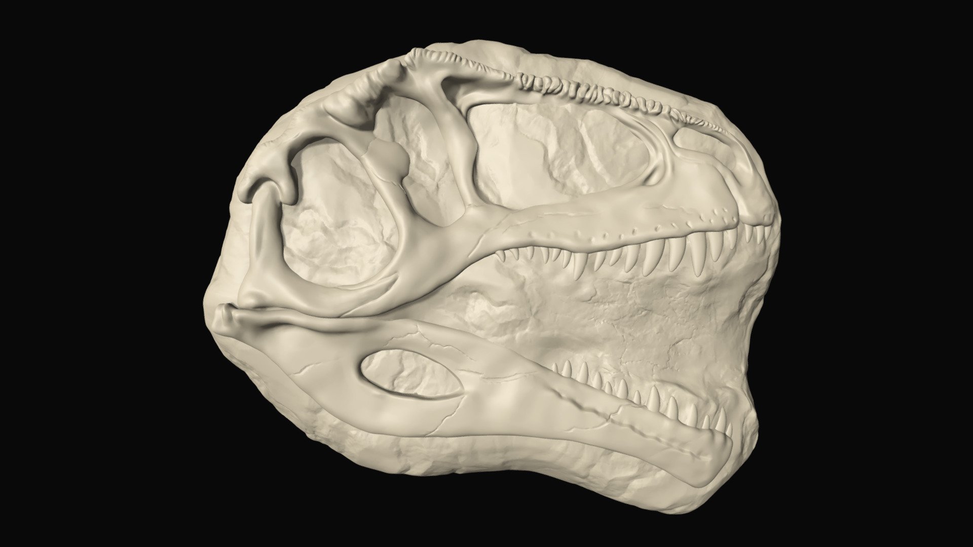 Giganotosaurus Skull - Rock bed - 3D model by Santiago_RS [06a3a0b ...