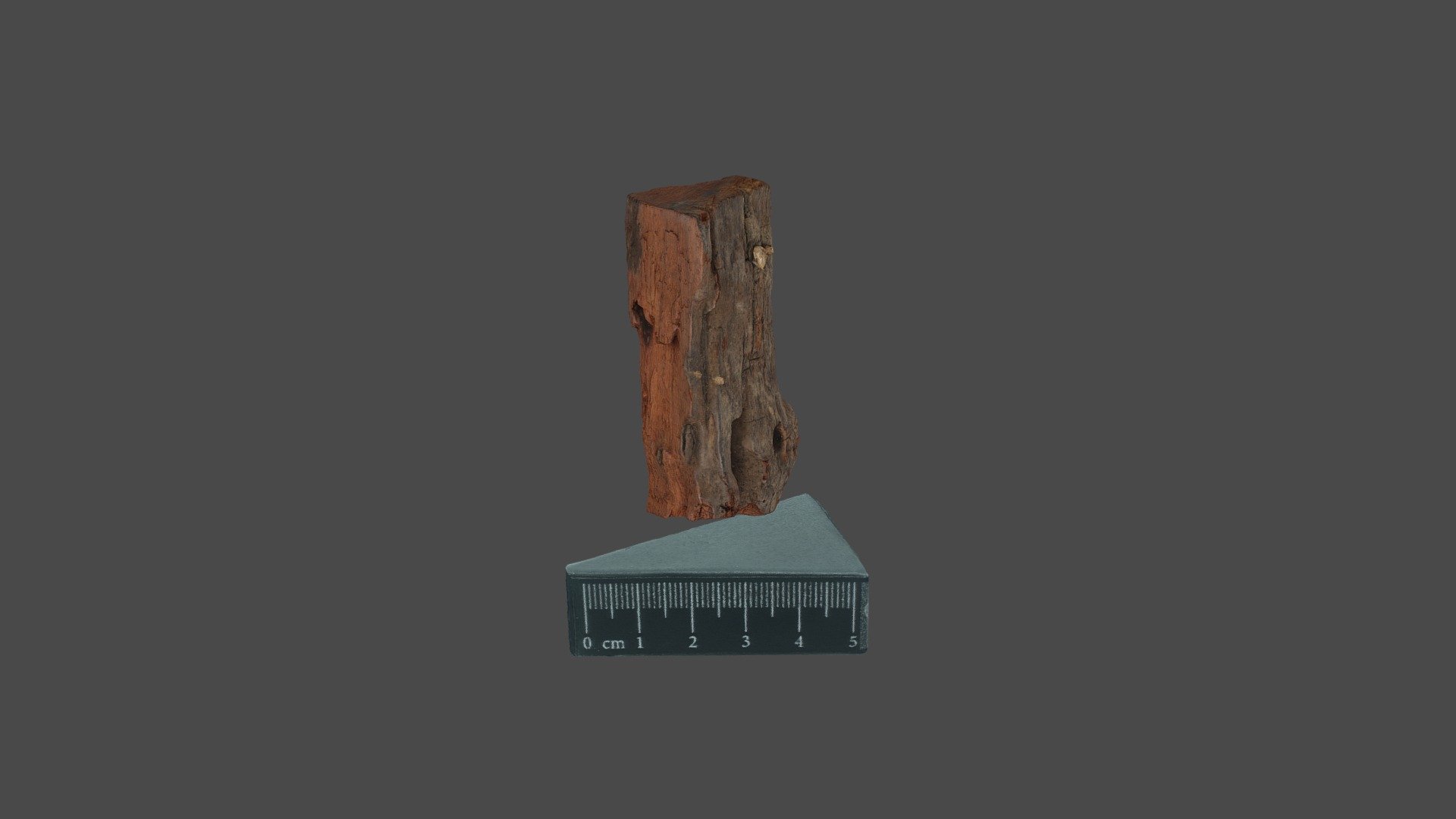 สมุลแว้ง scale bar - Download Free 3D model by 65201101047 [06a3fd7 ...