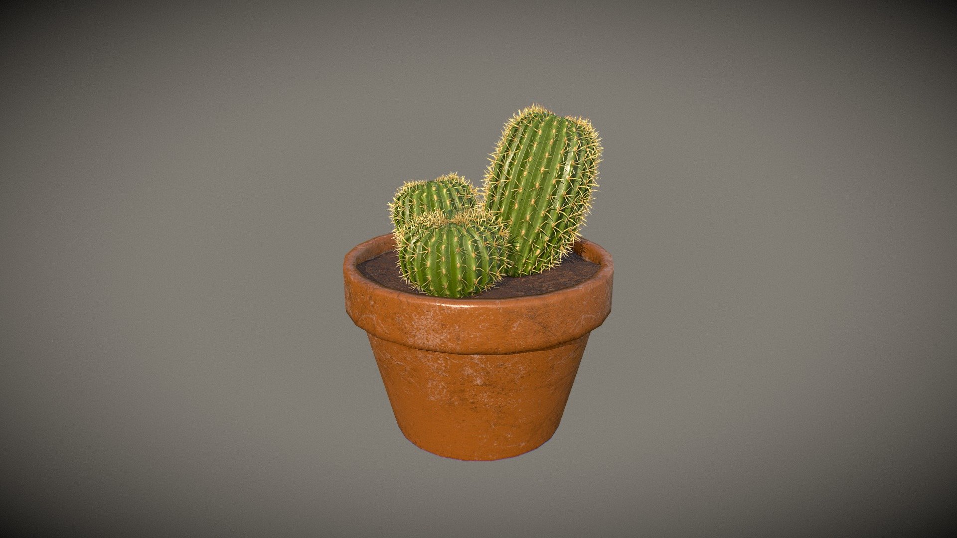 Cactus Pot - 3D model by vicvovk [06a4a7f] - Sketchfab