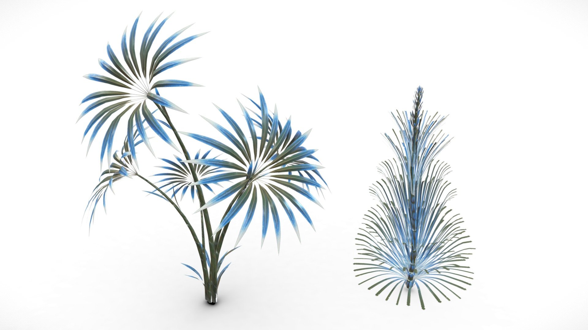 Alien Fantasy Plant - Needle Ferns - Buy Royalty Free 3D model by ...