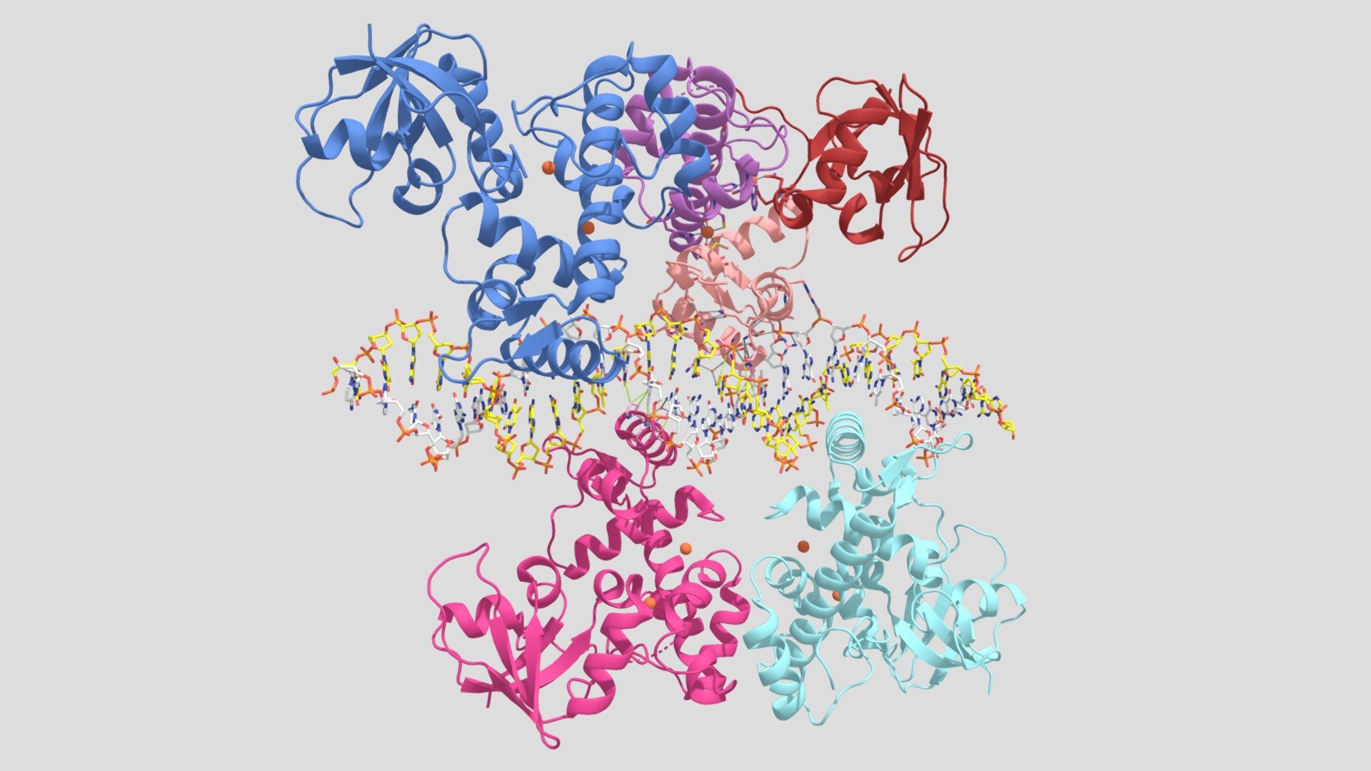 The iron sensor IdeR in complex with DNA - Download Free 3D model by ...
