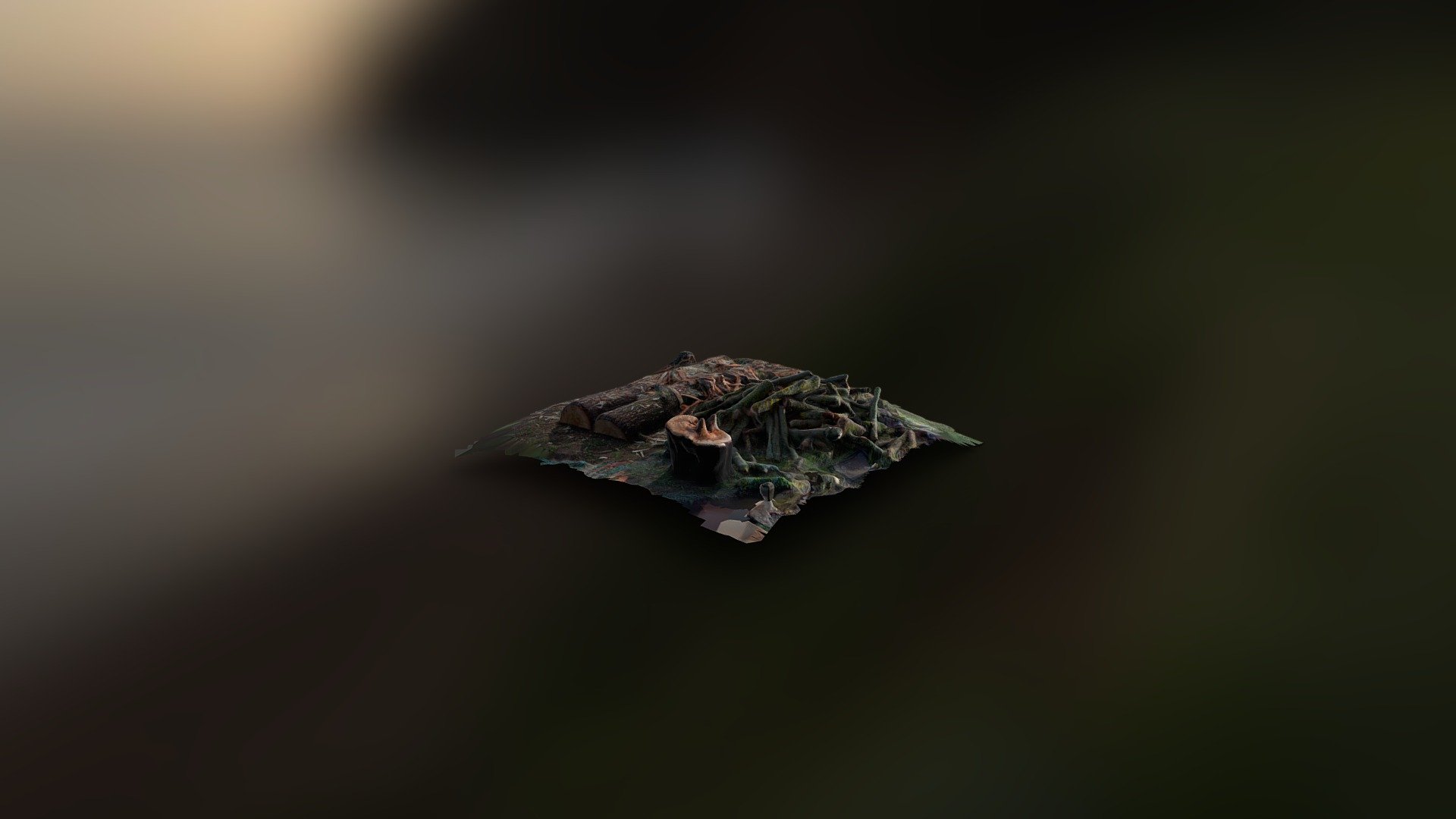 бревно 3d Scan test - 3D model by txzri (@kolyvtevr) [06af834] - Sketchfab