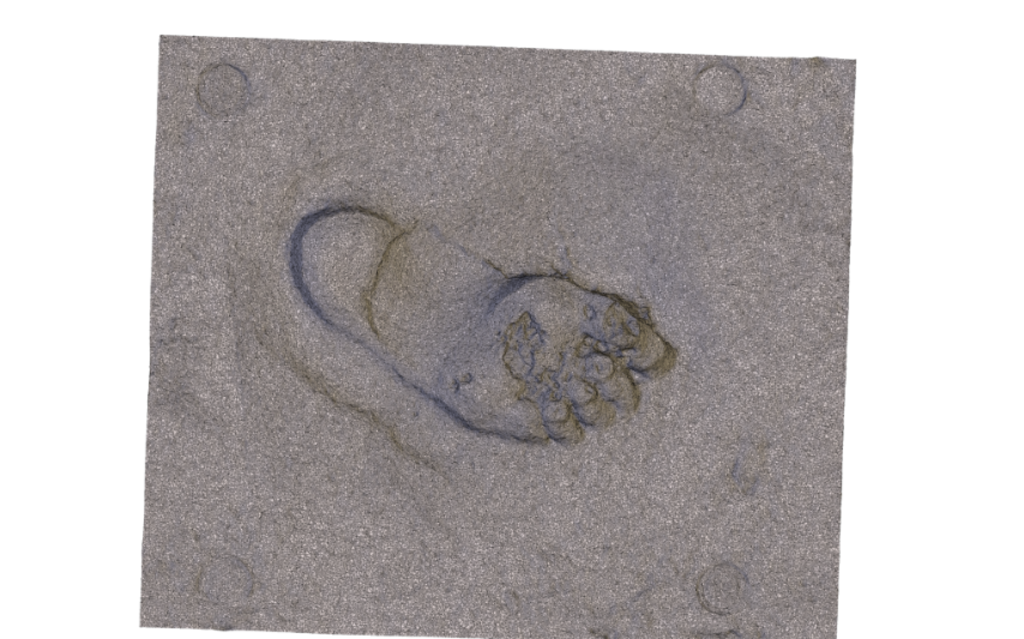 Footprint (wireframe) - 3D model by Archaeology 3D (@jeroendereu ...