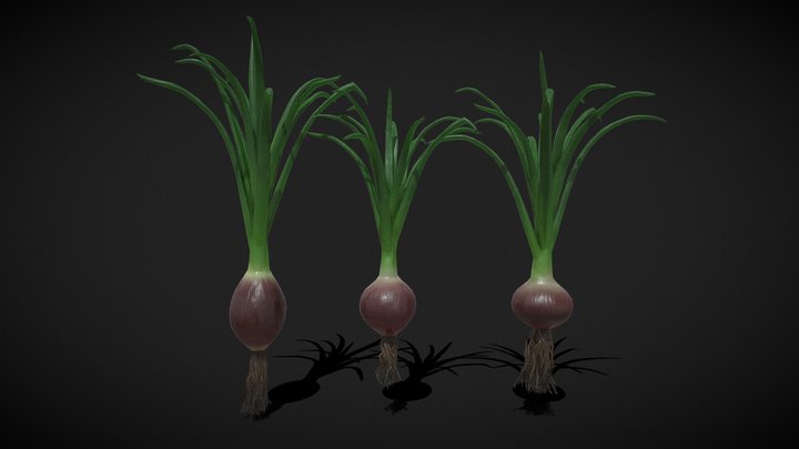 Crops 3D models - Sketchfab