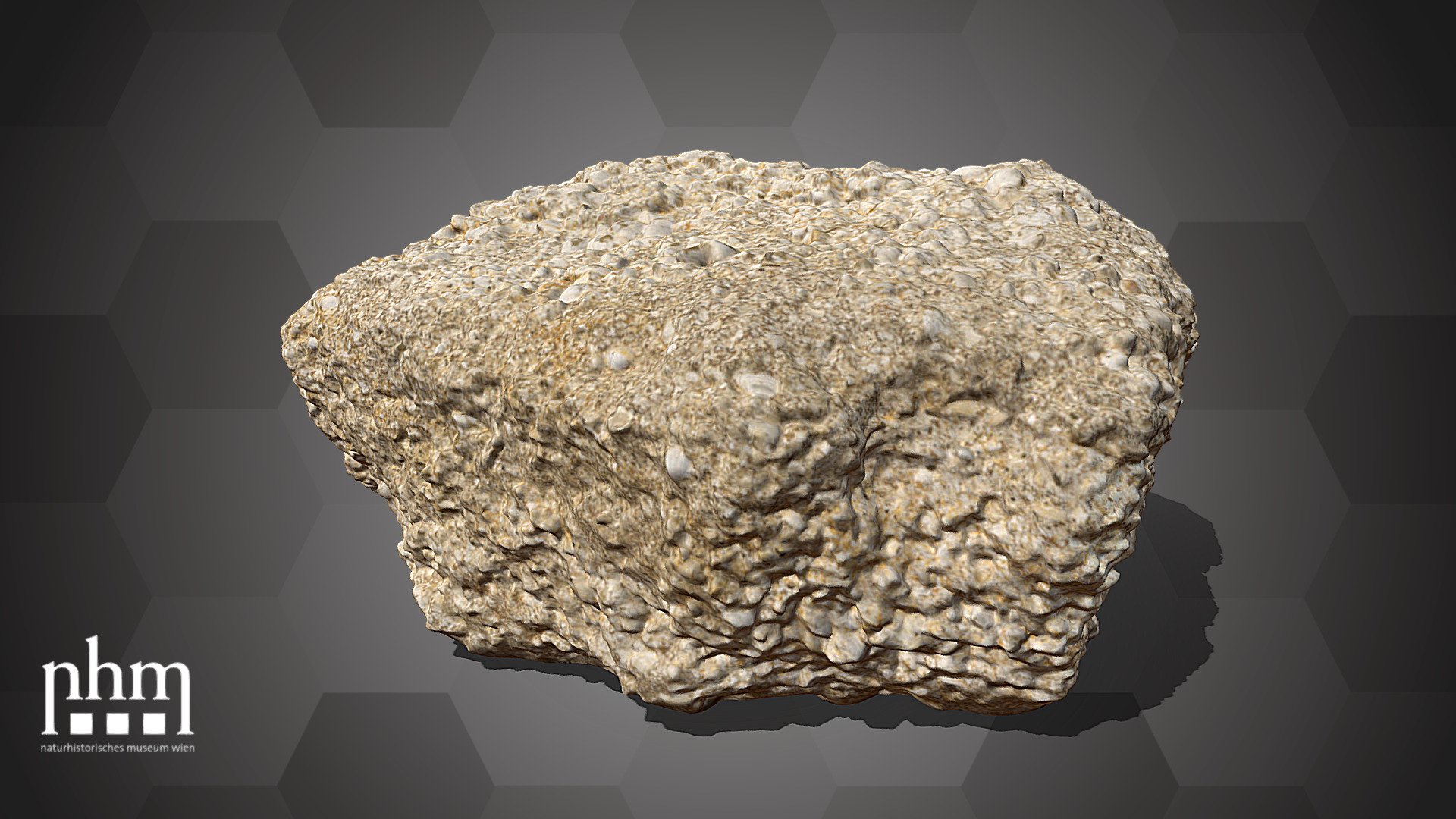 Rock from Cockle Shells - Download Free 3D model by Natural History ...
