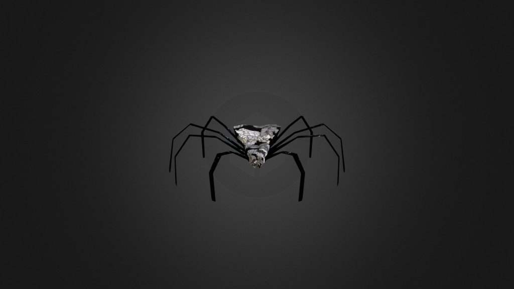 Spider idle animation - 3D model by Claudia Bonandrini (@enklave ...