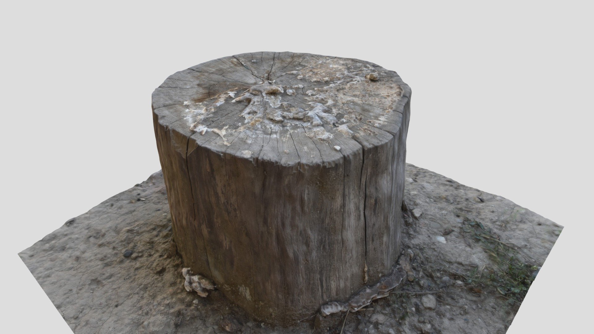 Stump 2 - Download Free 3D model by sv.stats [06d5997] - Sketchfab