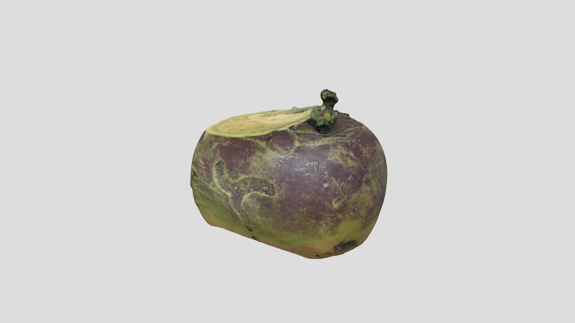 Raw - Download Free 3D model by SodaGamesArt [06d8bf6] - Sketchfab