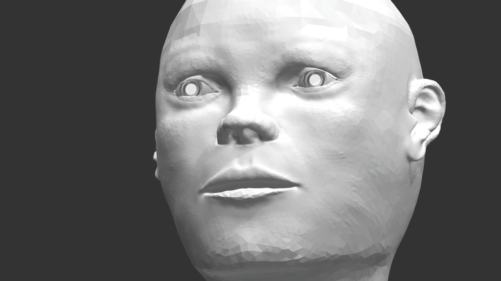 potrait Character - 3D model by promassive [06df6b1] - Sketchfab