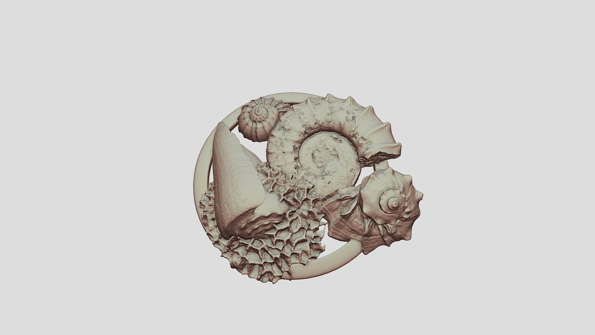 Shell1 - 3D model by gussbronze [06e8ef5] - Sketchfab