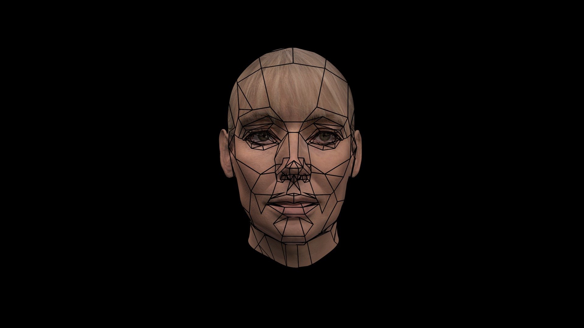 Dr Tim Live - 3D head & Facial planes - 3D model by DrTimPearce ...