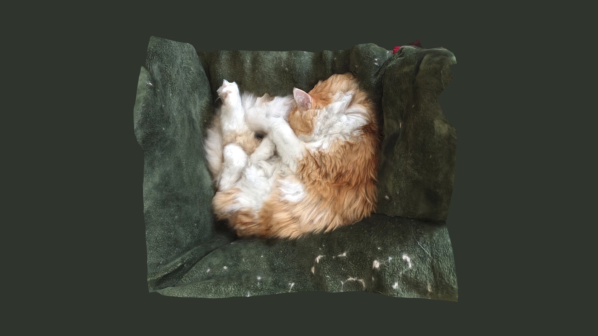 Simba Sleeping 🐱 Messing around w/ Kiri Engine - Download Free 3D model ...