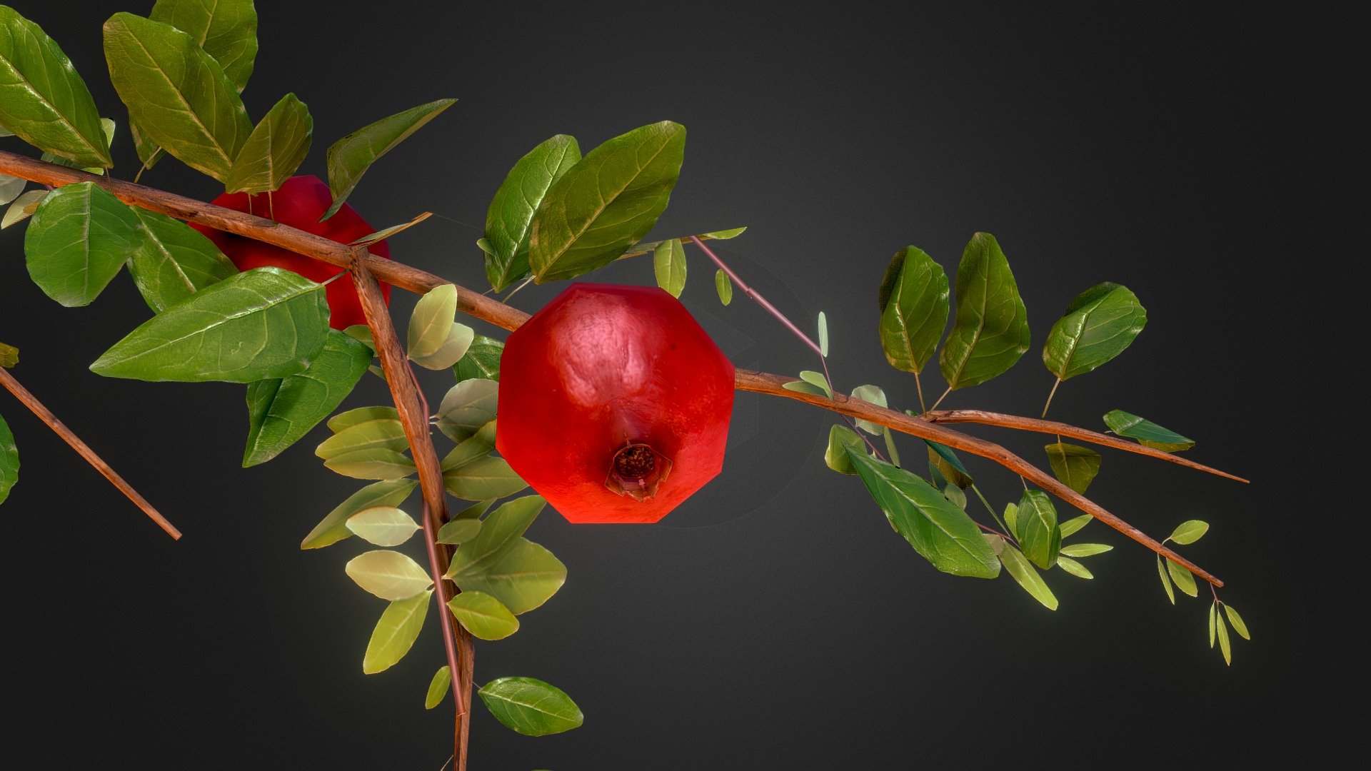 Sipak - 3D model by zlatkica [07060fc] - Sketchfab