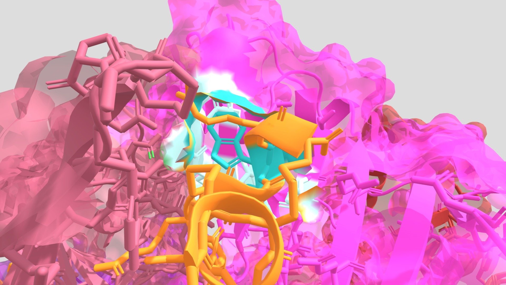 α-Conotoxin ImI: the Ac-AchBP Fairy - 3D model by fiona quinn (@fiquinn ...