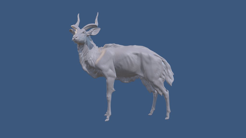 Creature/ Animal Anatomy - A 3D model collection by Zaxel - Sketchfab