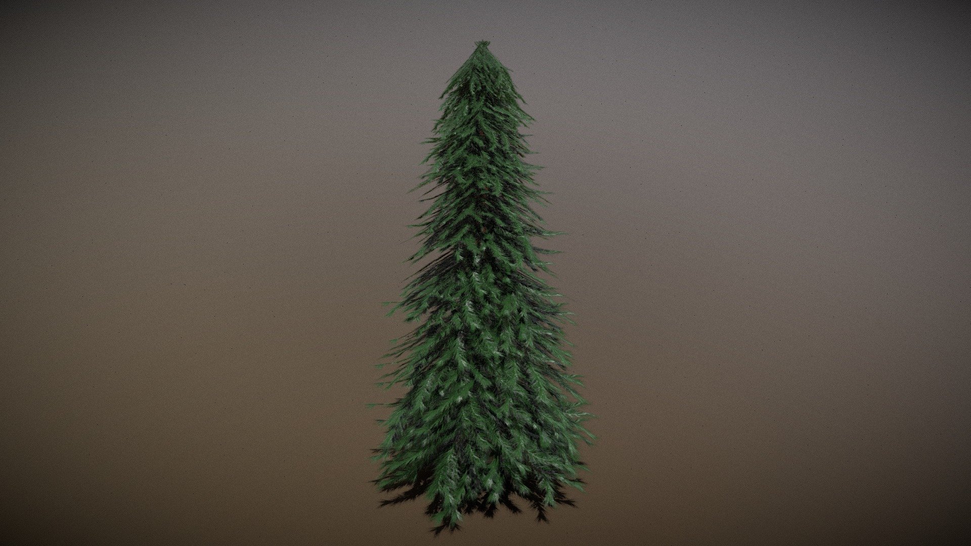 Pine Tree – Low Poly Stylized Tree - Download Free 3D model by Jimmy ...