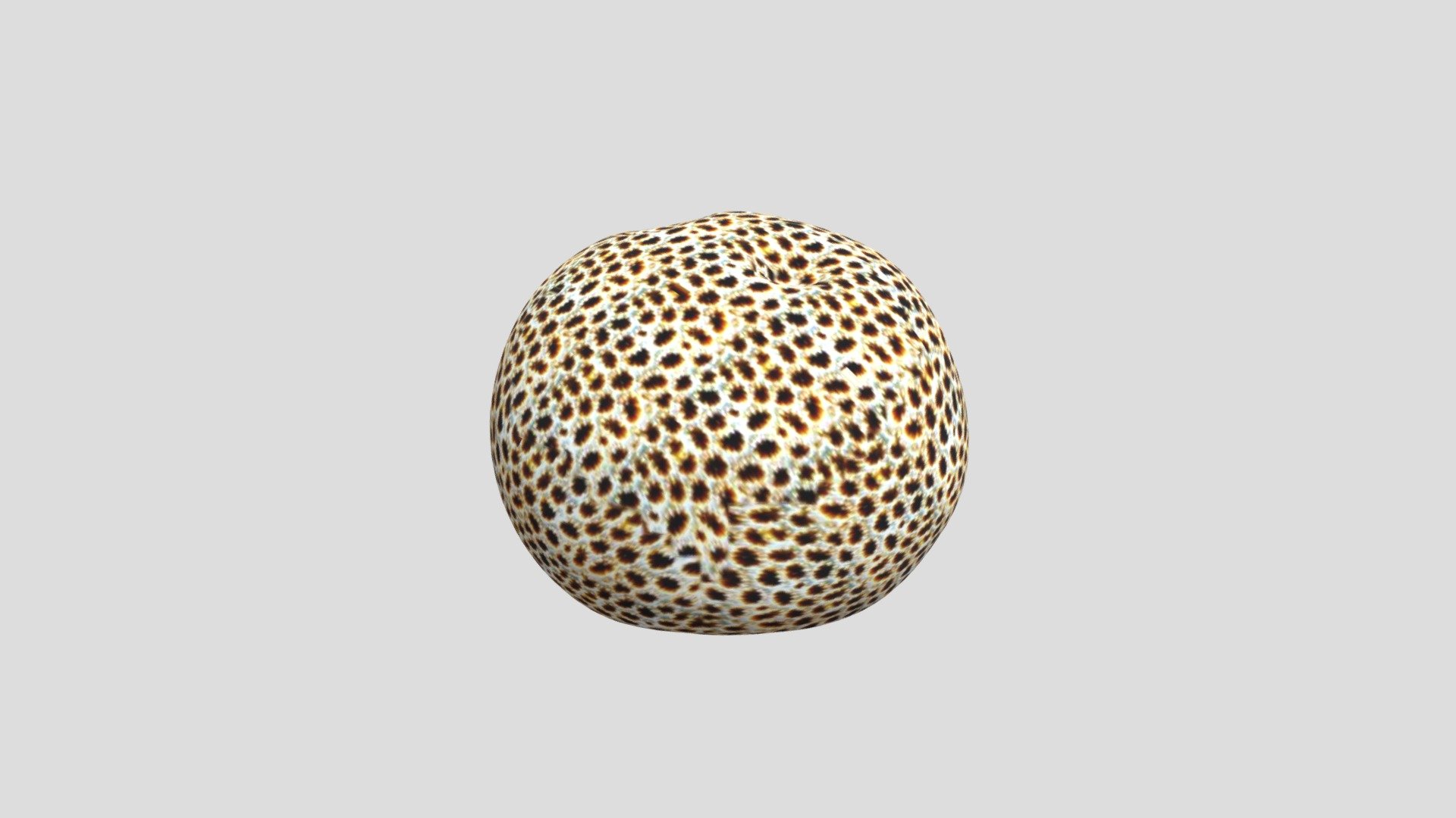 SIT253 Porite Coral - Download Free 3D model by sipsen [071ae39 ...