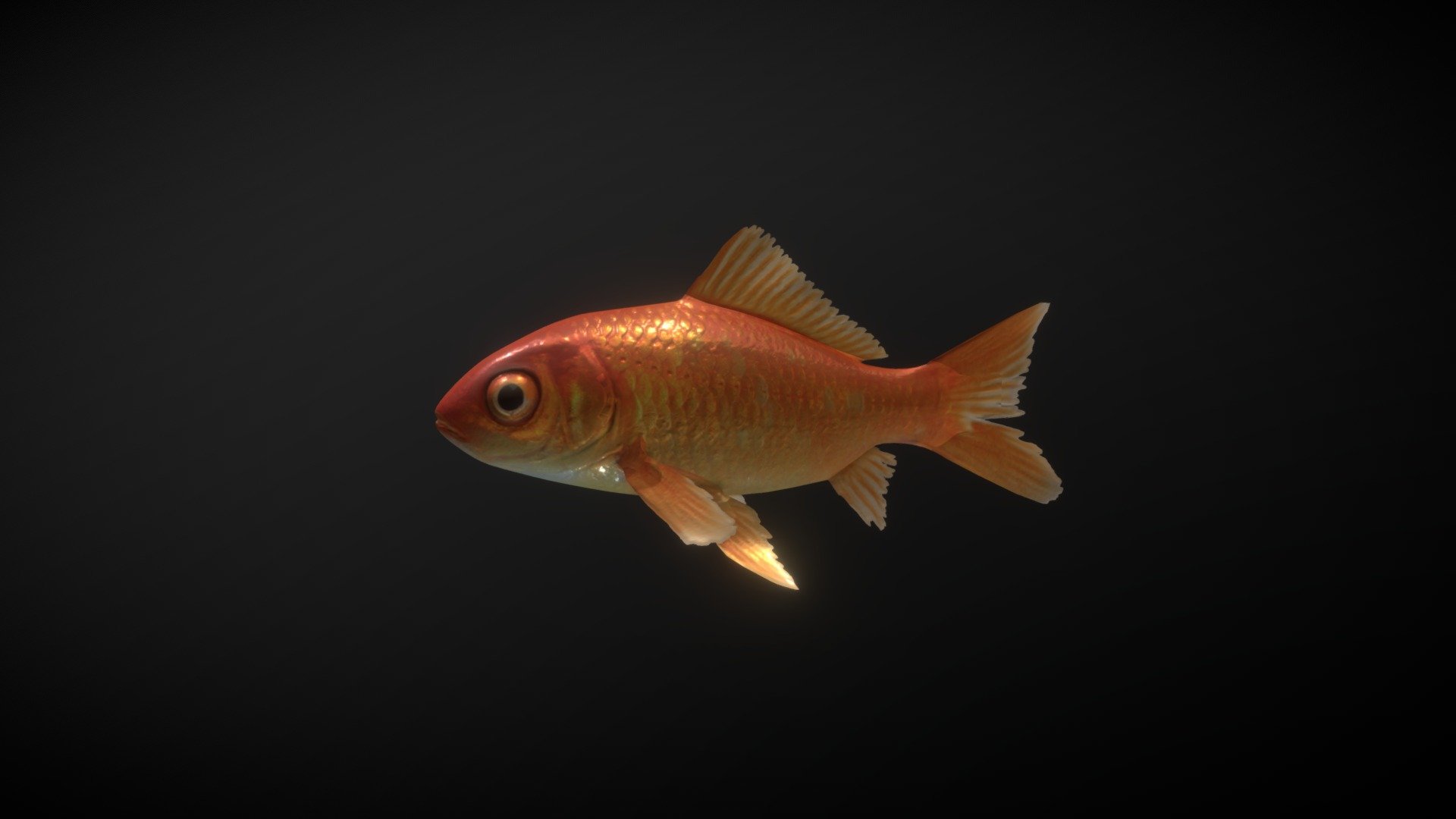 Goldfish - Download Free 3D model by Jean-Christophe Sekinger (@jc ...