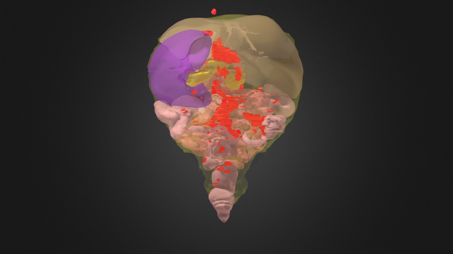 Organ Level Reduced - 3D model by Dara Walsh (@dara.walsh) [0729761 ...