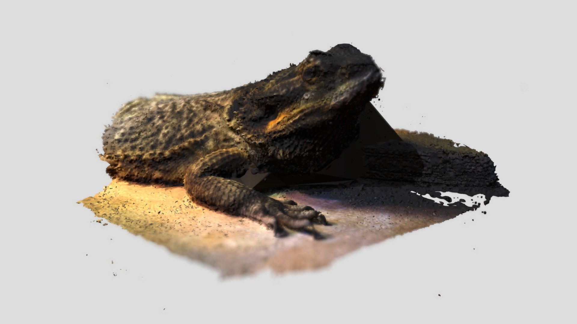 Dragon pet - Download Free 3D model by AVZ (@micropalaeontology ...