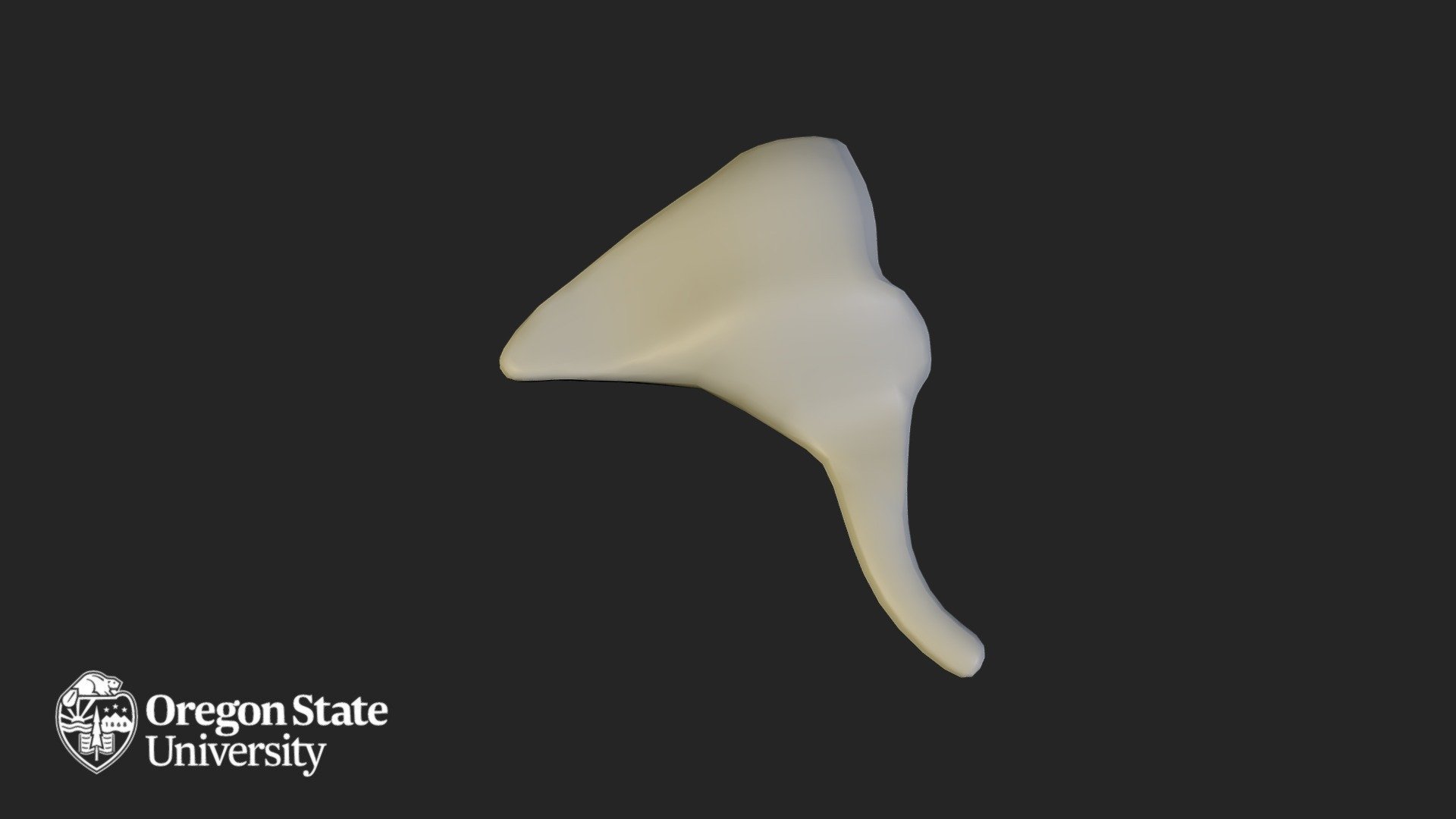 Incus (Anvil) - Download Free 3D model by Oregon State University ...