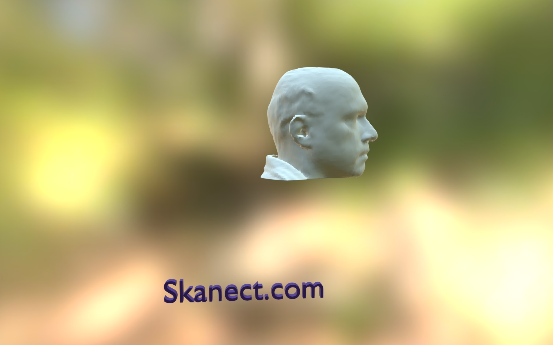 Red-White Zone Forehead level Camera Dark - 3D model by SureshNarayanan ...
