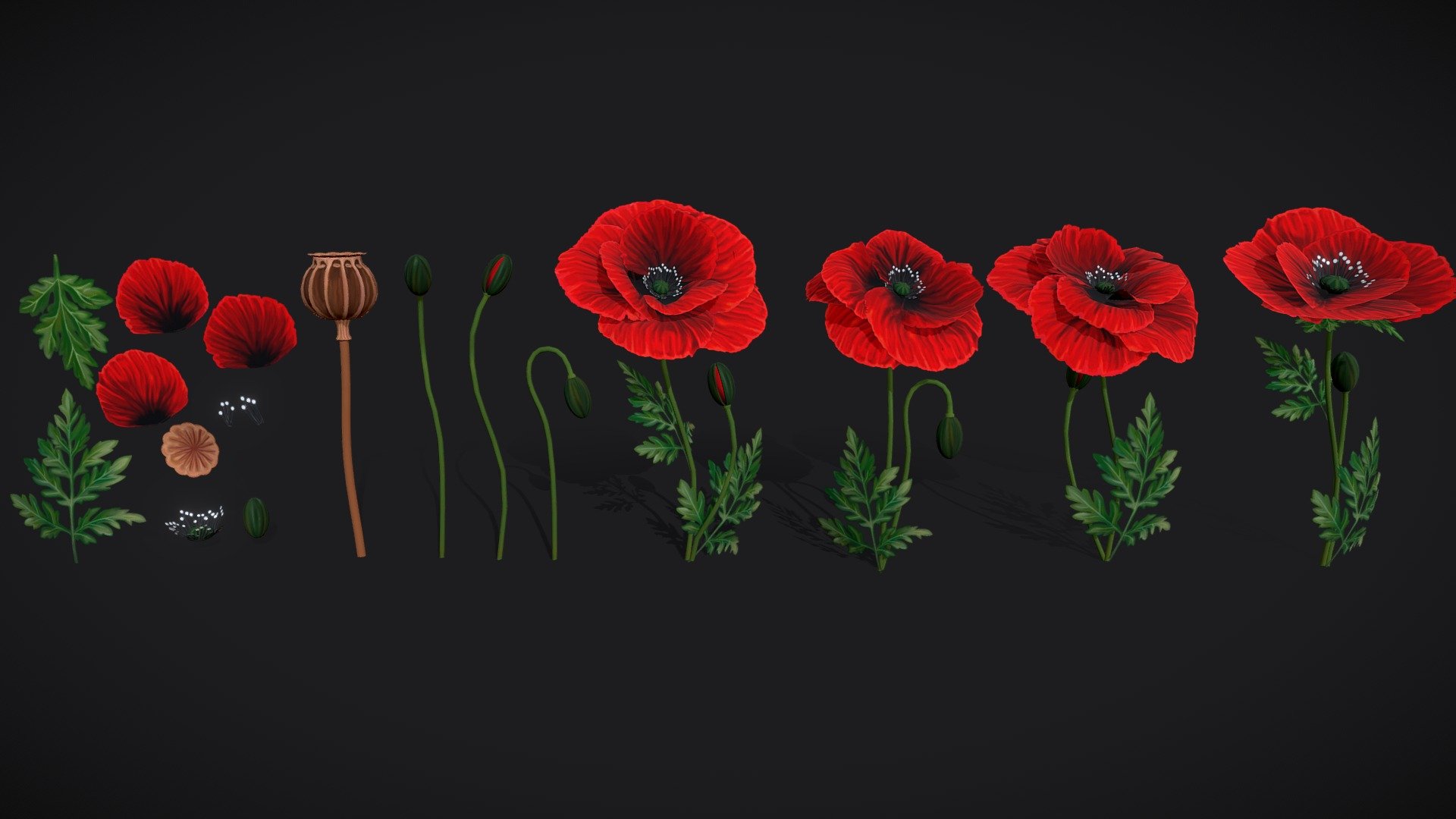 Stylized handpainted Poppy - Buy Royalty Free 3D model by Enkarra ...
