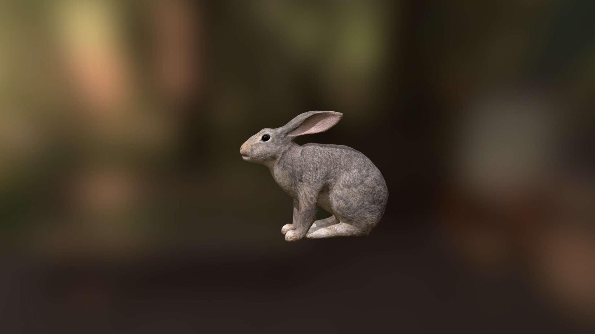 Rabbit - Download Free 3D model by Dakota.Hinkle [073eef1] - Sketchfab