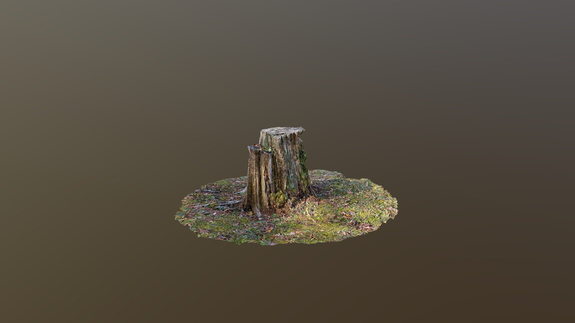 Stump - Download Free 3D model by charliebrown (@charlie12) [0746ec3 ...