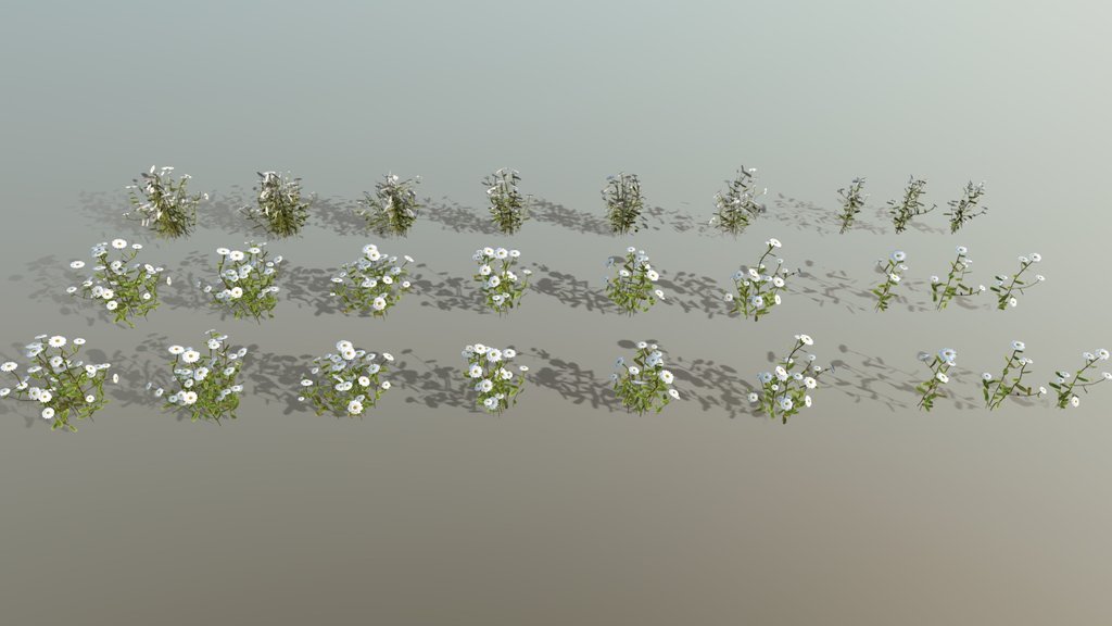 plants - A 3D model collection by rolandoedwards2005 - Sketchfab