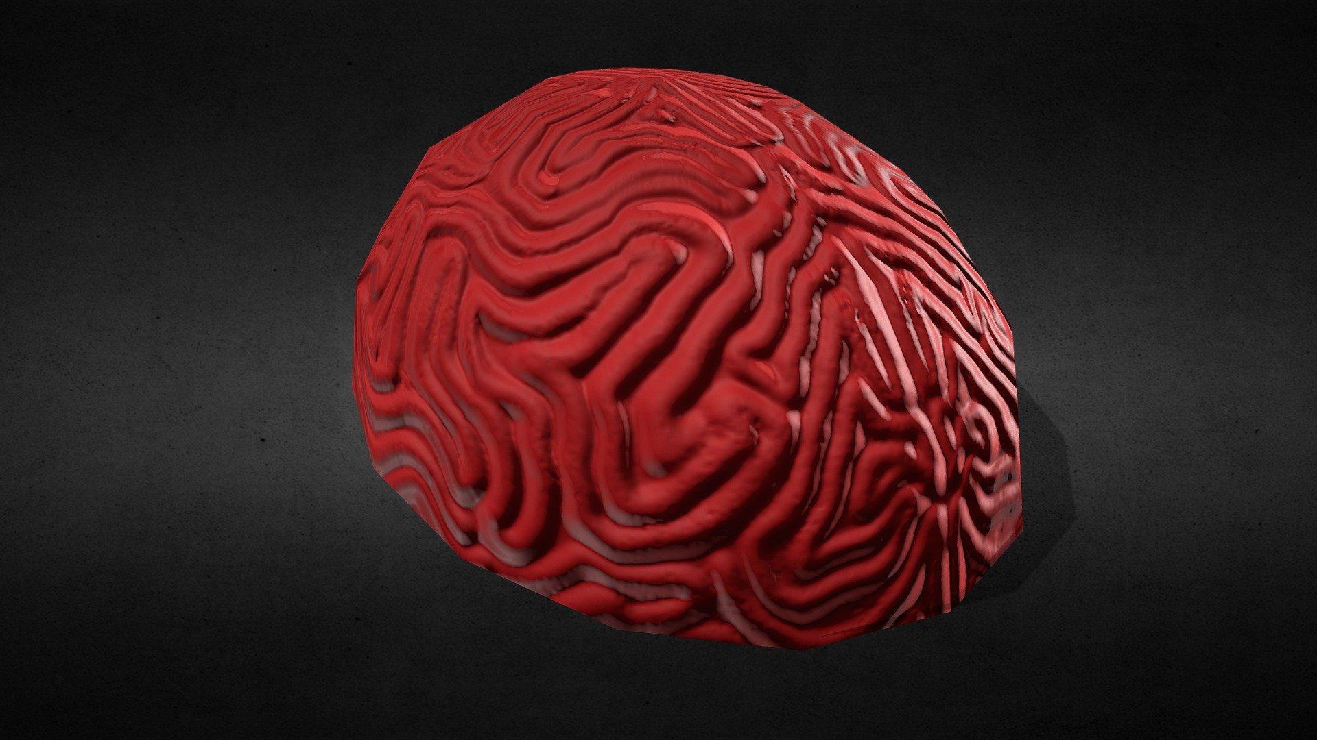Brain Coral(Preview) - 3D model by Dinobros2000 [074bb0e] - Sketchfab