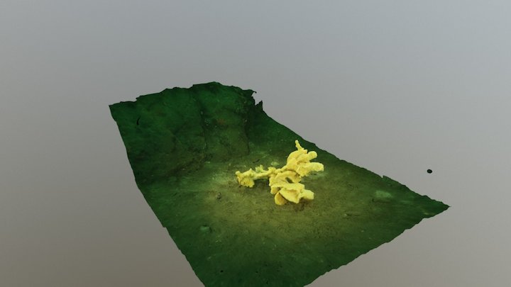 Cloudsponge 3D models - Sketchfab