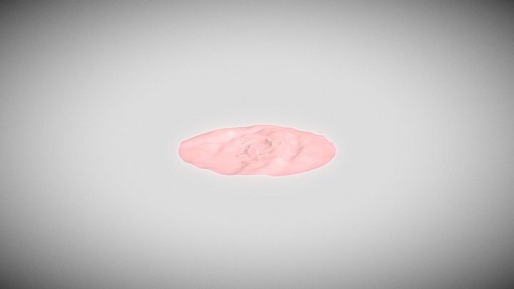 Lua 3D models - Sketchfab
