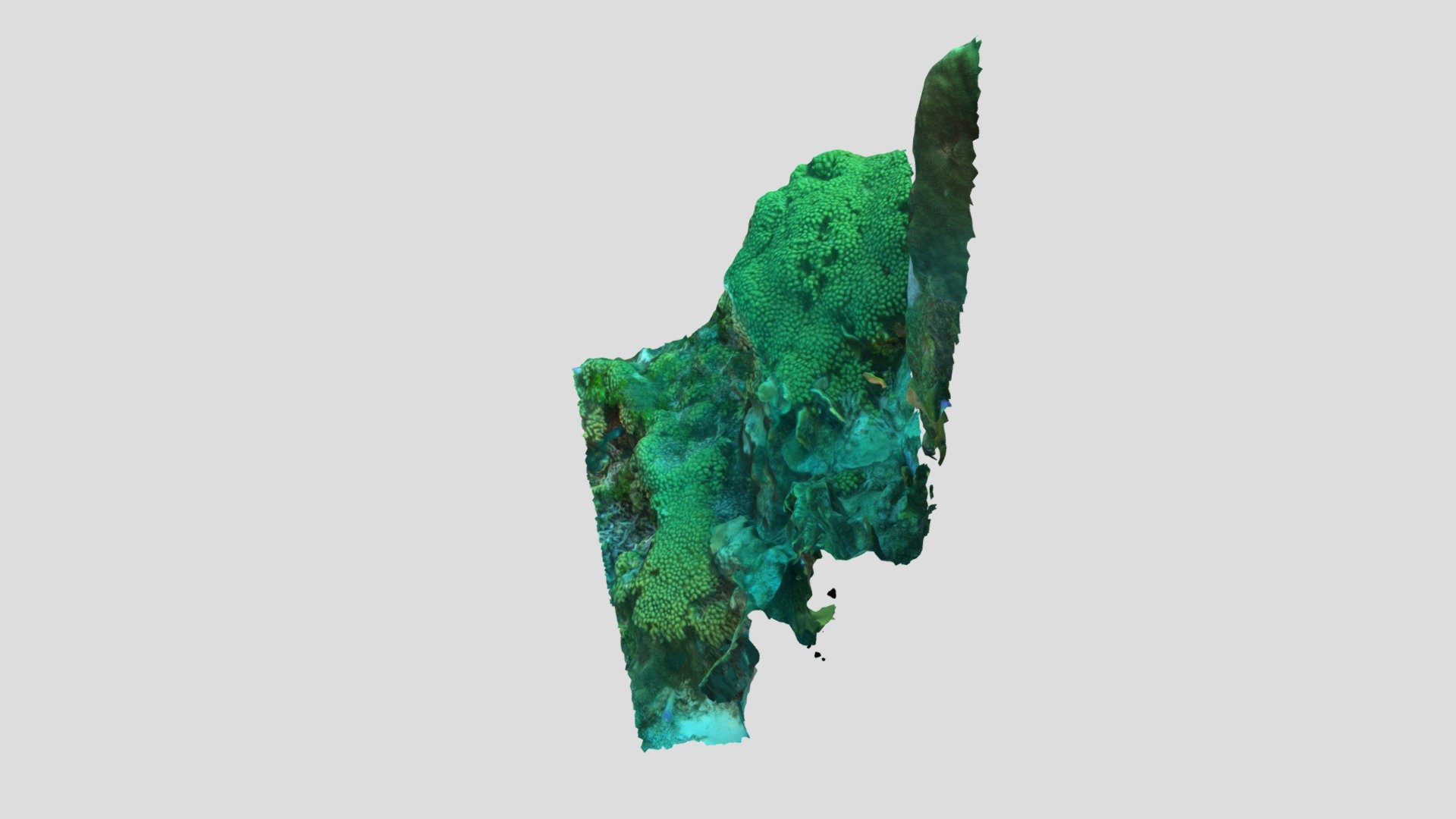 Sea Aquarium_14 - 3D model by coralreefs.kornder [0756fdc] - Sketchfab