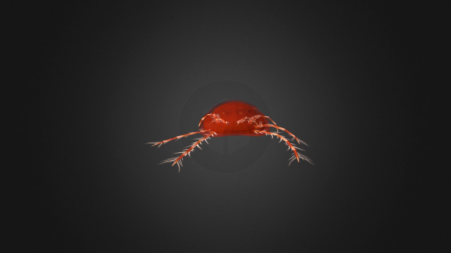 Hydracarina Водяной клещ Acarina - 3D model by iTechnol [0758ee4 ...