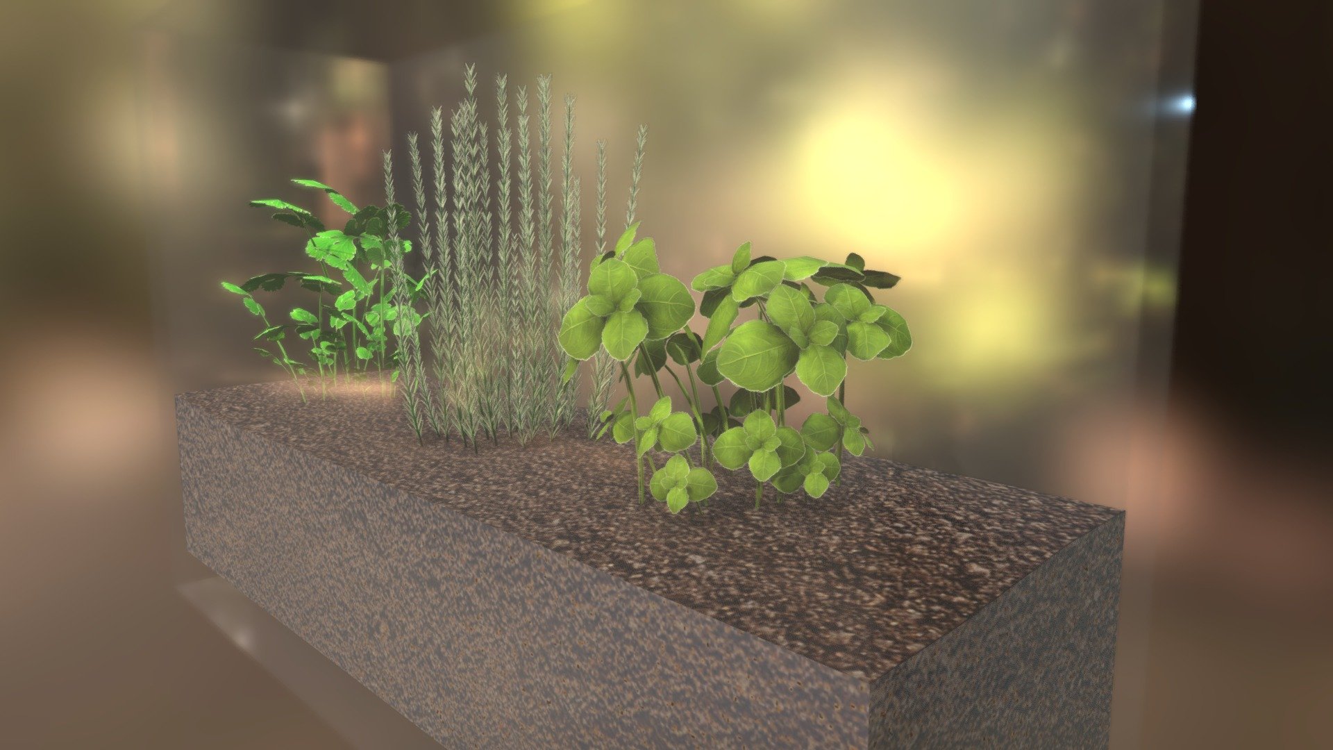 Terrarium (basil, rosemary and coriander) - Download Free 3D model by ...