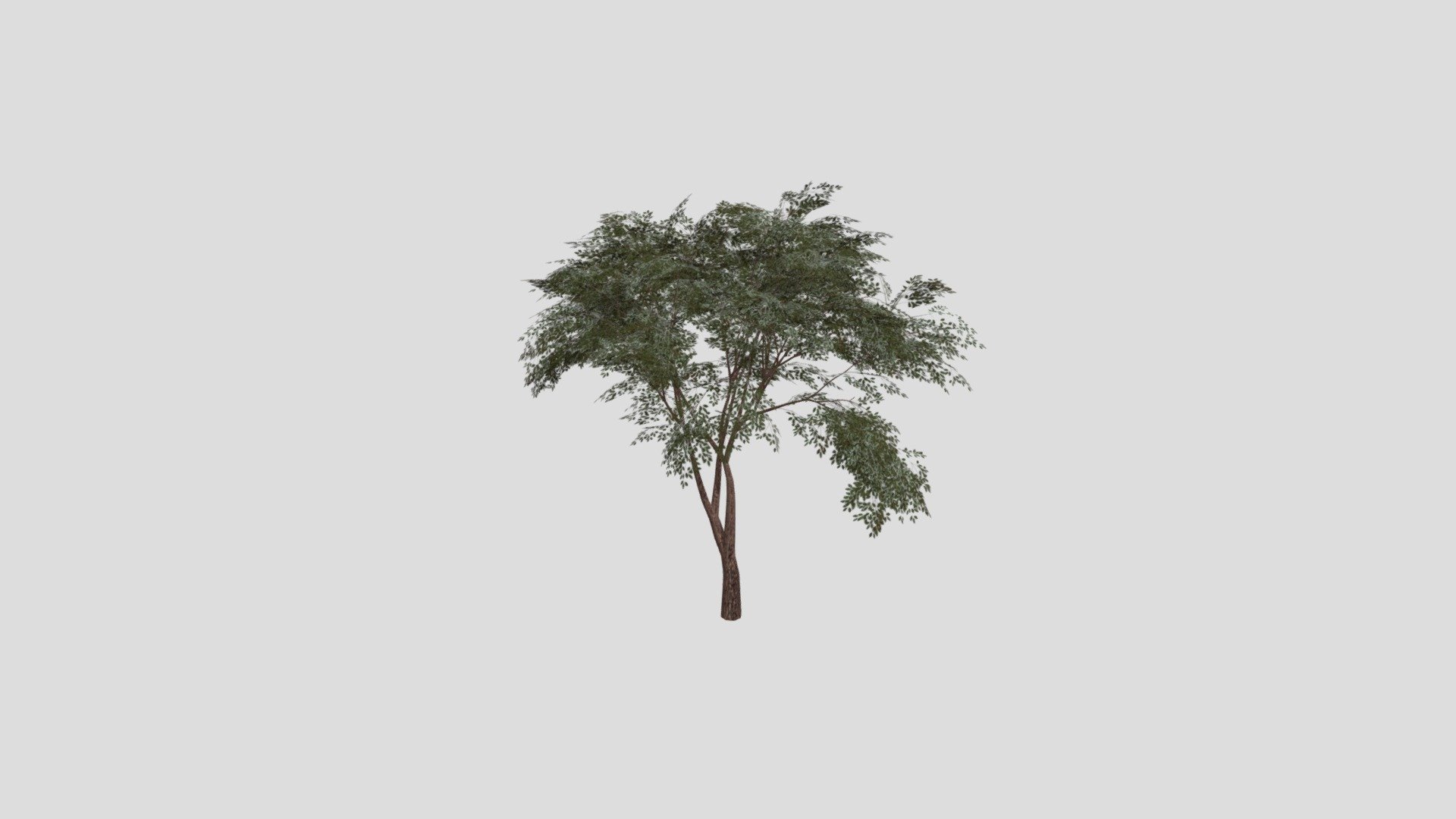 Tree 3D Model - Download Free 3D model by Tenere Team (@tenereteam ...