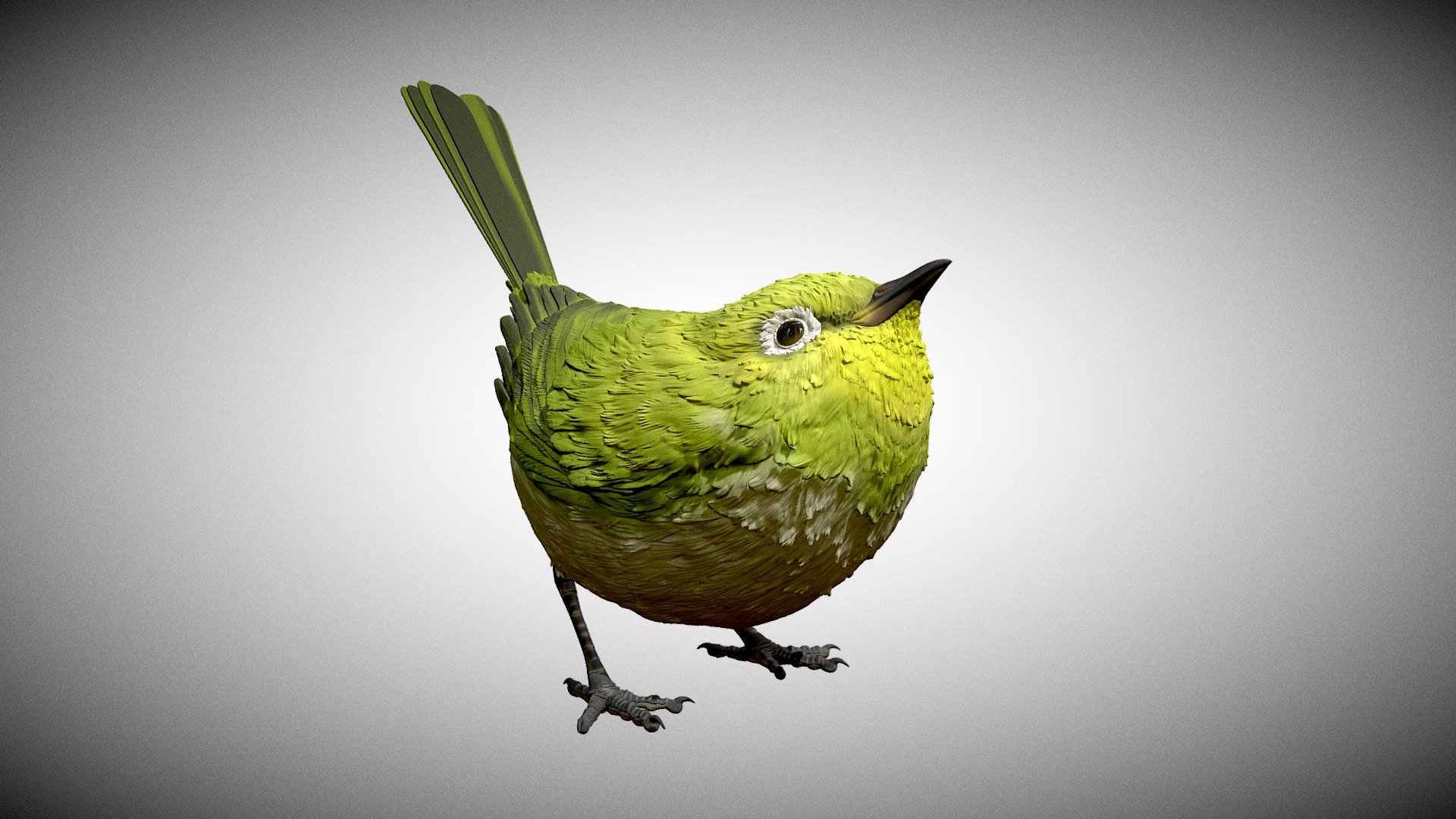 Wishful Wasabi - 3D model by KinWanderer [0770868] - Sketchfab
