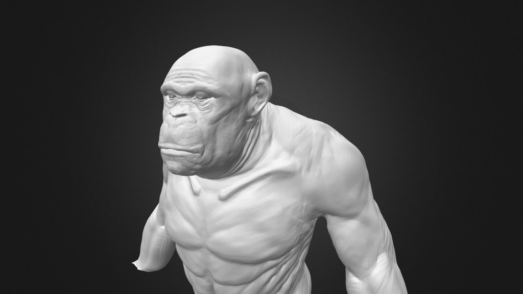 Cesar - 3D model by YuehKChou [0774f96] - Sketchfab