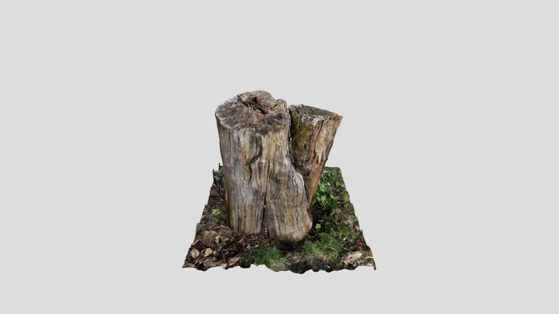 Wood stump - Download Free 3D model by n3rd0710 [0777608] - Sketchfab