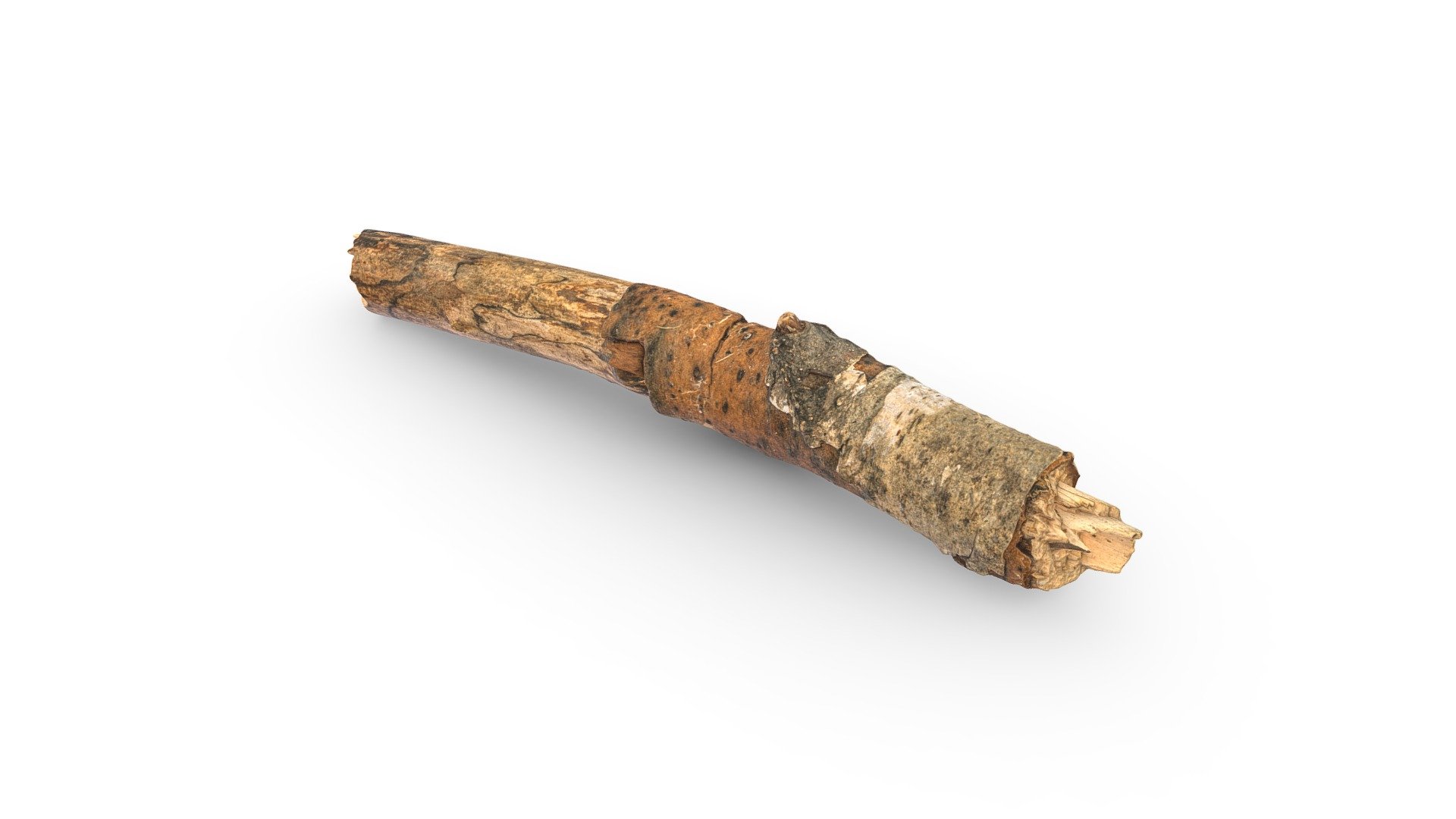 Stick without Bark - 3D model by RawCatalog.com (@rawcatalog) [0777d80 ...