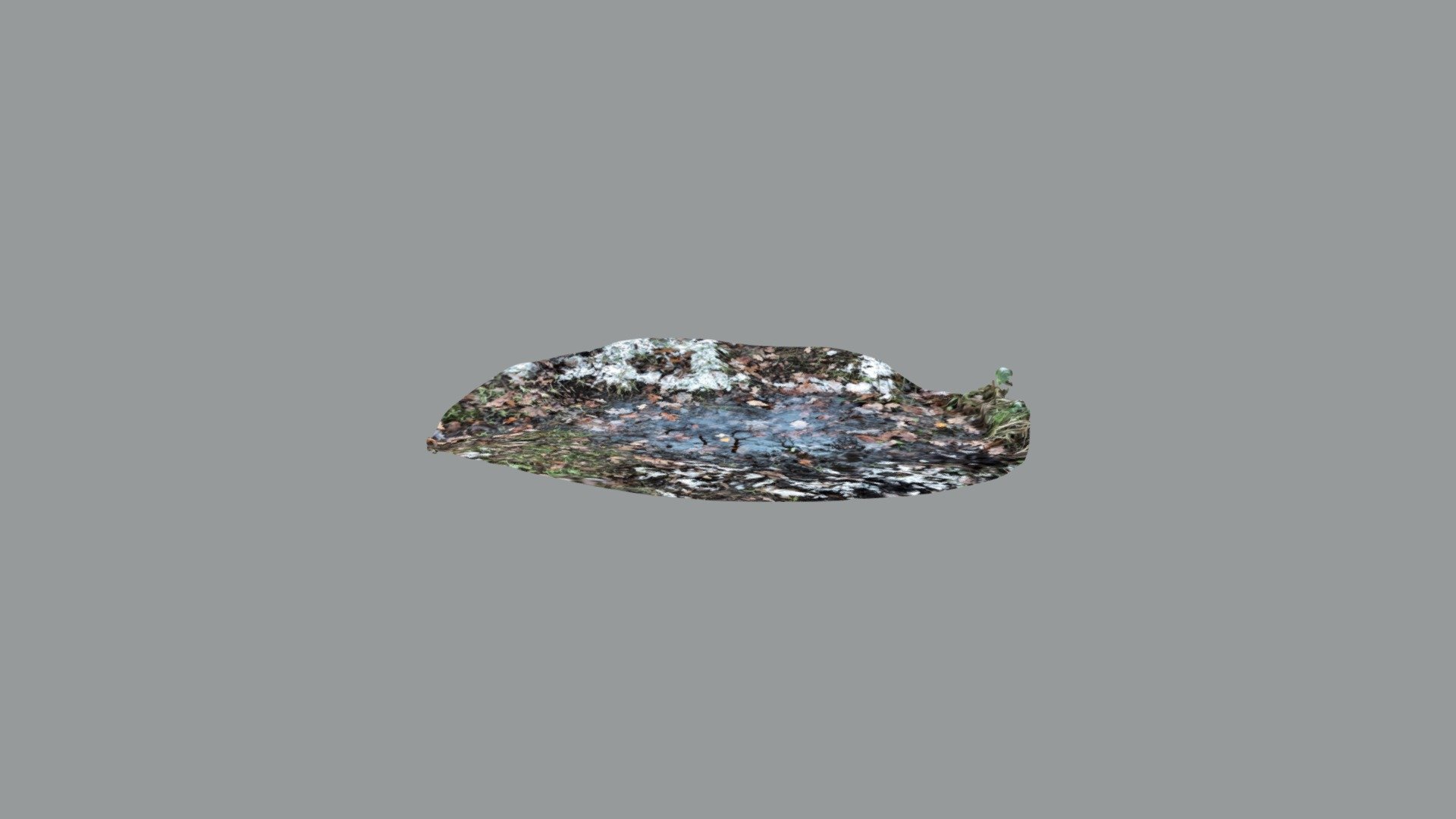 Puddle - Download Free 3D model by hdsn [077a571] - Sketchfab