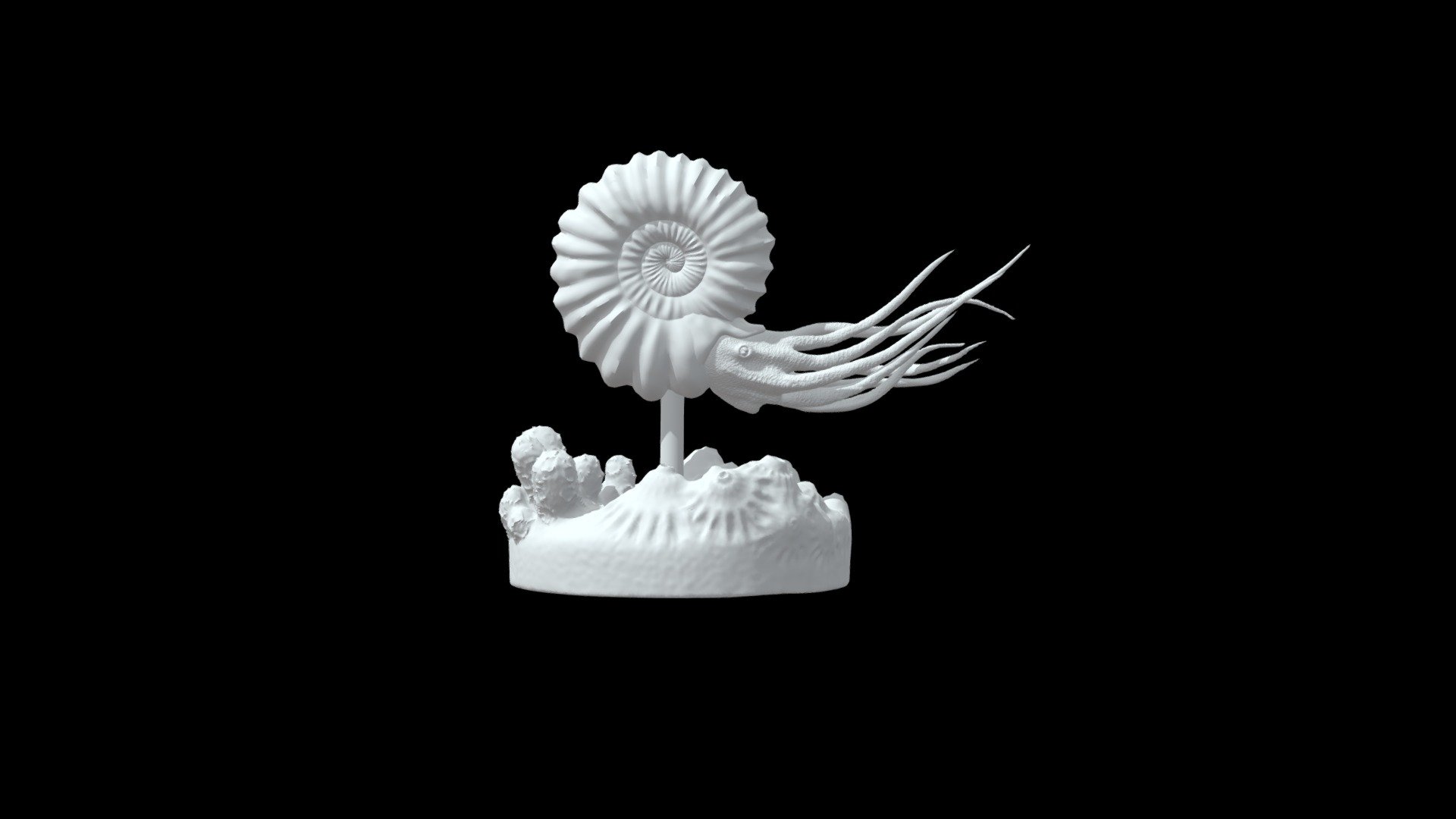 Ammonite (Ammonoidea) - Download Free 3D model by abbyschlich [077ae74 ...
