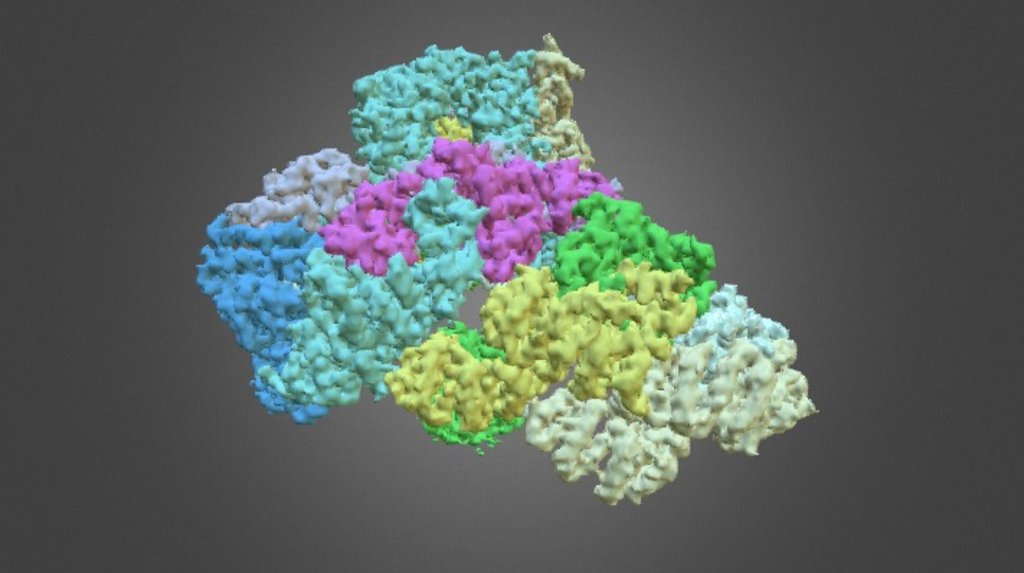 Structure of the APC/C - NATURE (2015) - 3D model by Interactive 3D ...