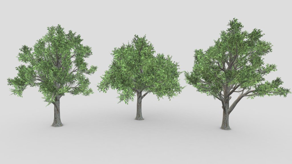 植物 - A 3D model collection by enzohao - Sketchfab