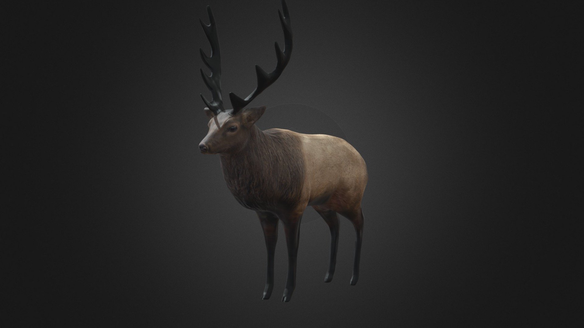 Elk - 3D model by Joanna Wiencek (@asik) [07810c5] - Sketchfab
