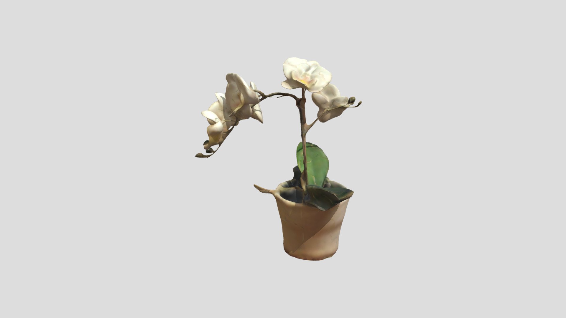 Flower - 3D model by f0li0 [07afbb0] - Sketchfab